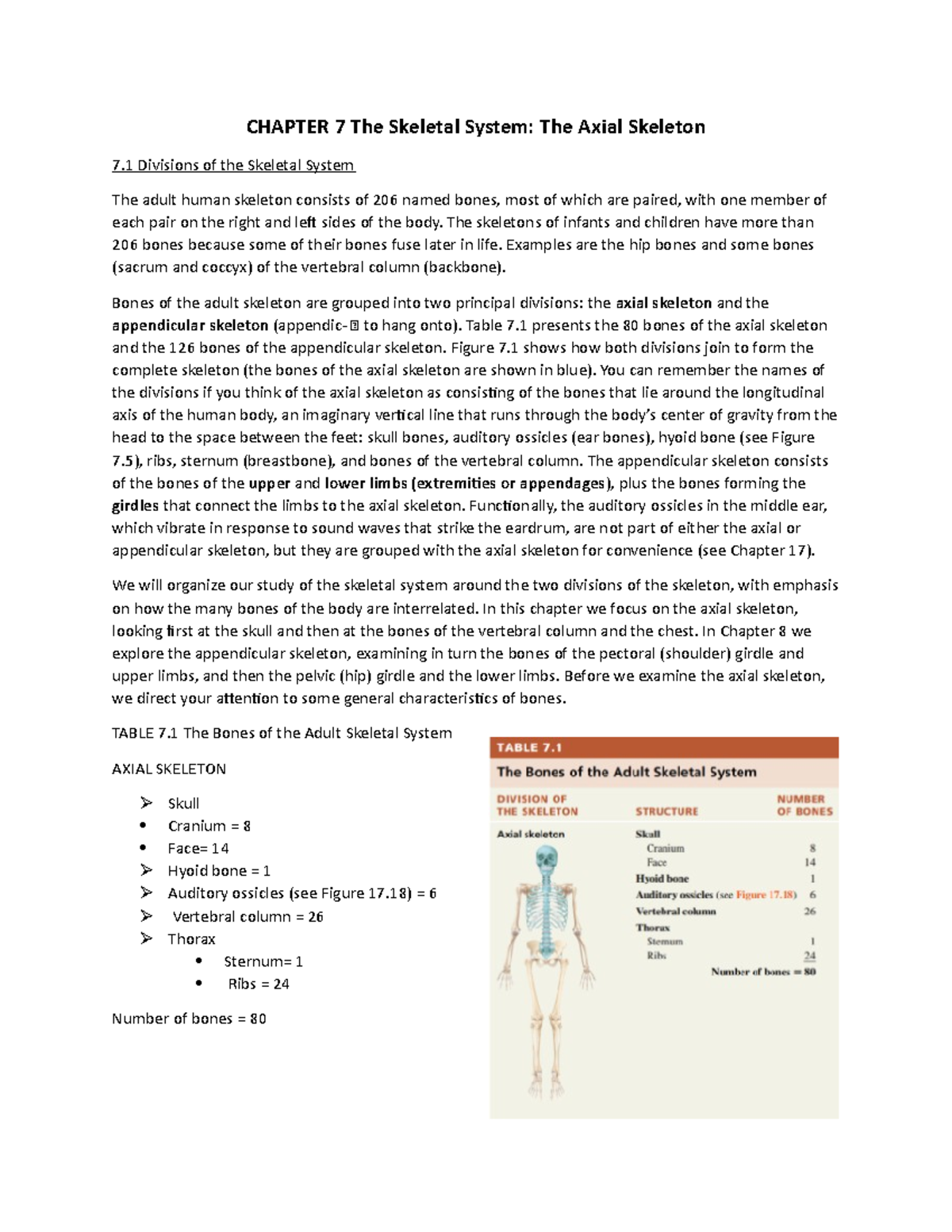 Chapter 7 The Skeletal System put into word document with diagrams ...