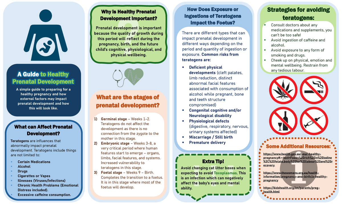 Pamphlet Final. - ####### Teratogens are influences that ...