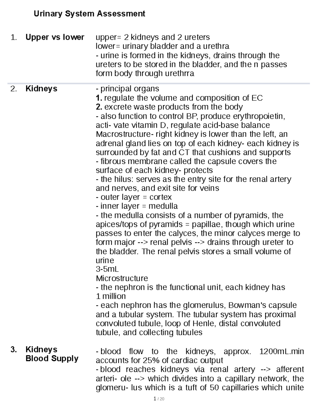 Urinary System Assessment - The renal pelvis stores a small volume of ...