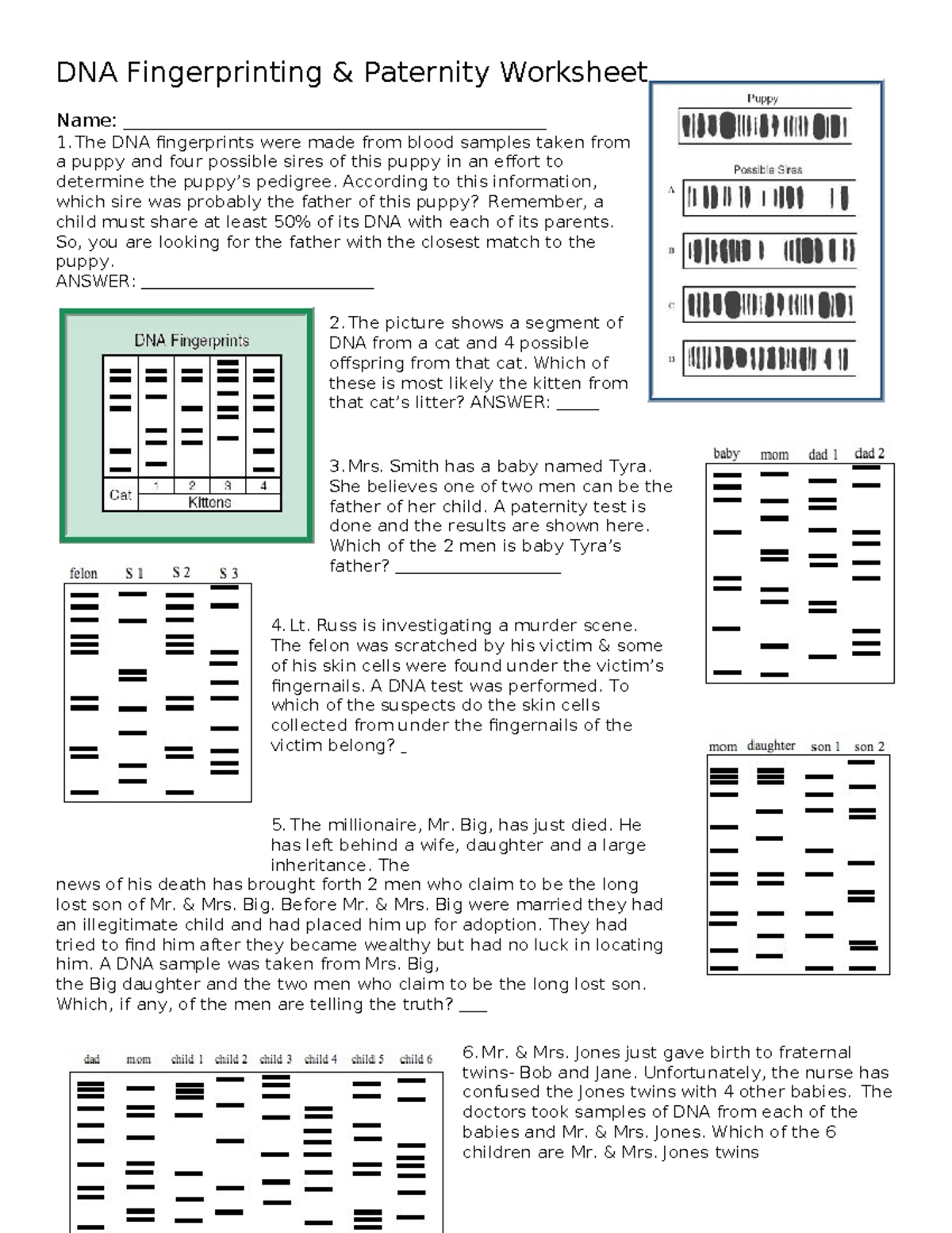 Forensics - Day 2 - Hovanec - DNA Fingerprinting & Paternity Worksheet ...