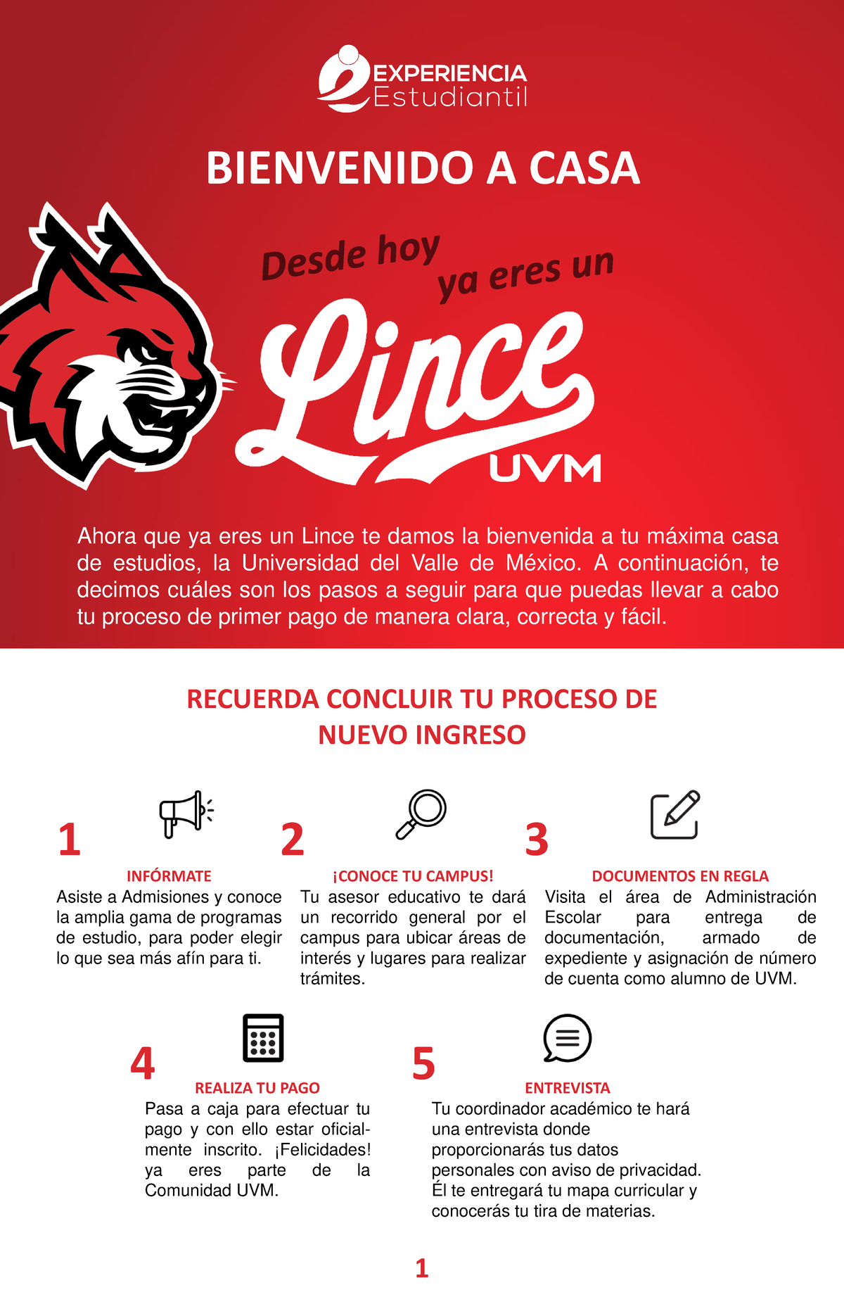 Minibook UVM Julio 21 - Ahora que ya eres un Lince te damos la bienvenida a tu máxima casa de ...