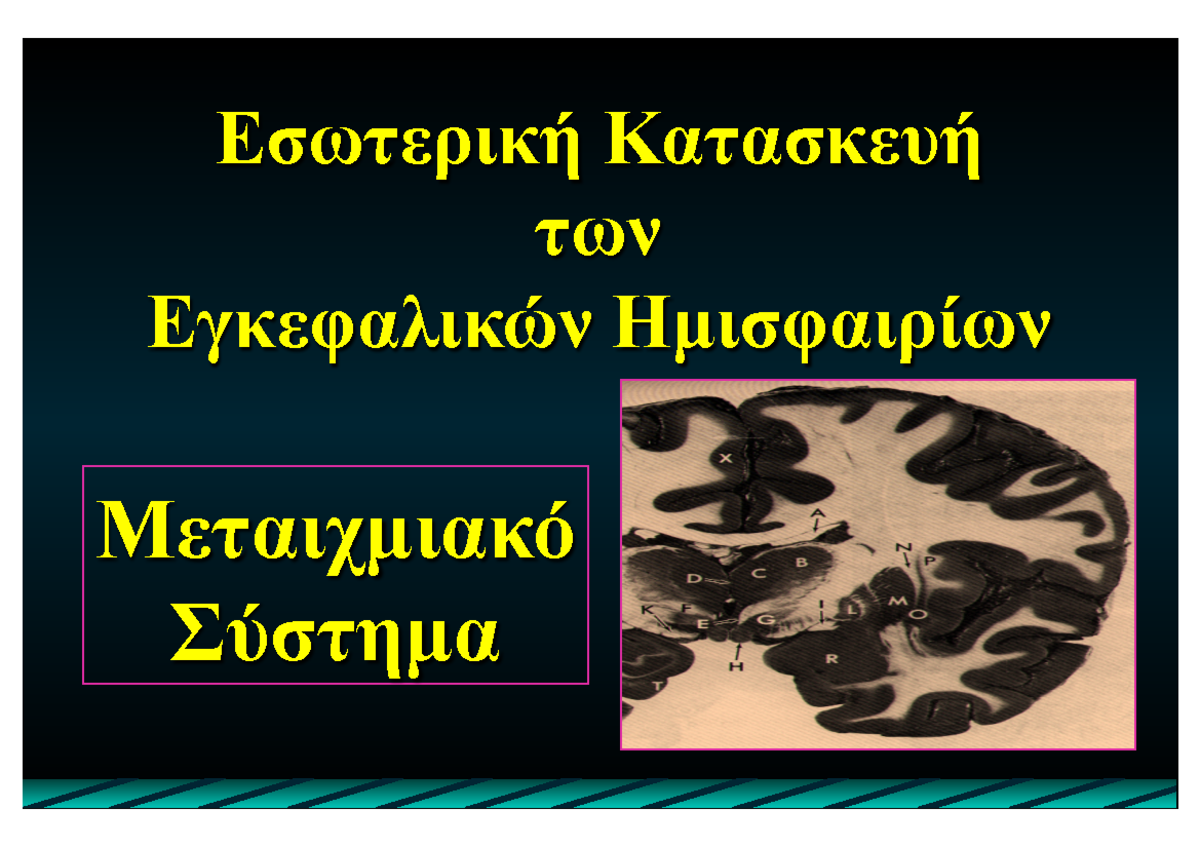 7 Μεταιχμιακο συστημα - ... - Εσωτερική Κατασκευή των Εγκεφαλικών ...
