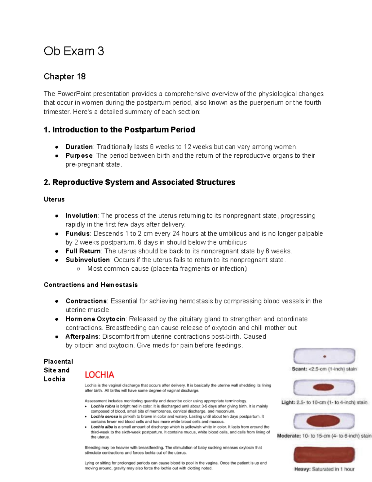 Ob Exam 3 study guide - Ob Exam 3 Chapter 18 The PowerPoint ...