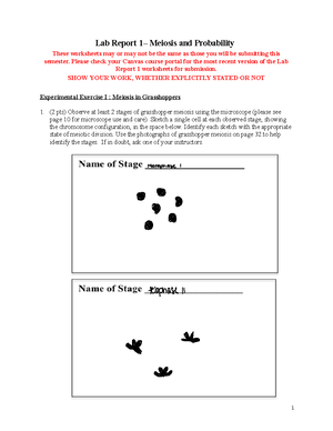 Lab Report 8 2 worksheets PART 2 Completed.docx - Lab Report 8 (Part 2) – Single Nucleotide ...
