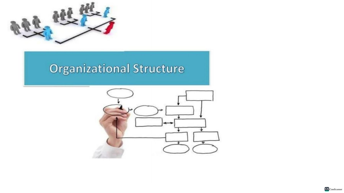 Organizational-structure - Accounting - Studocu