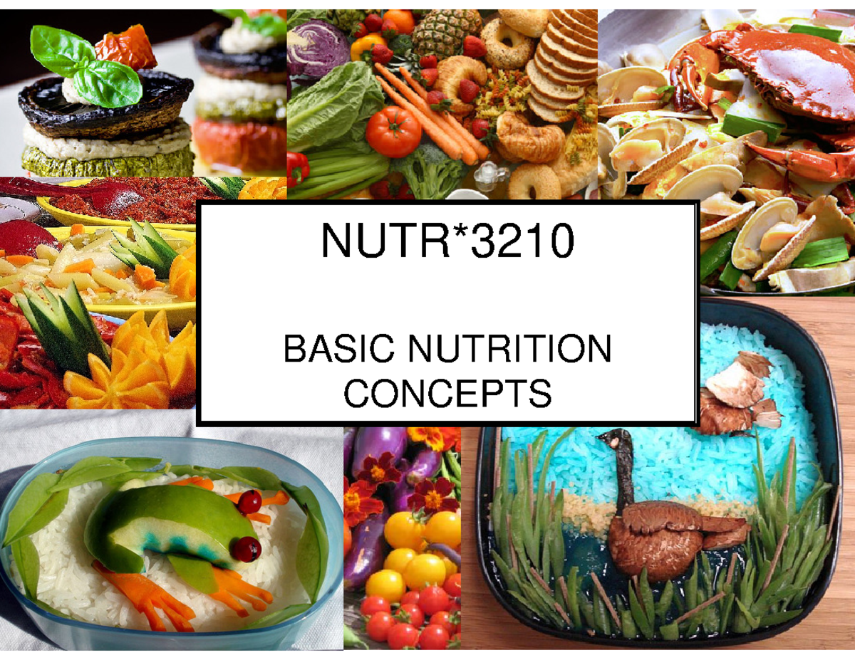 NUTR3210 Lecture 1 - Introduction and Basic Nutrition Concepts - NUTR ...