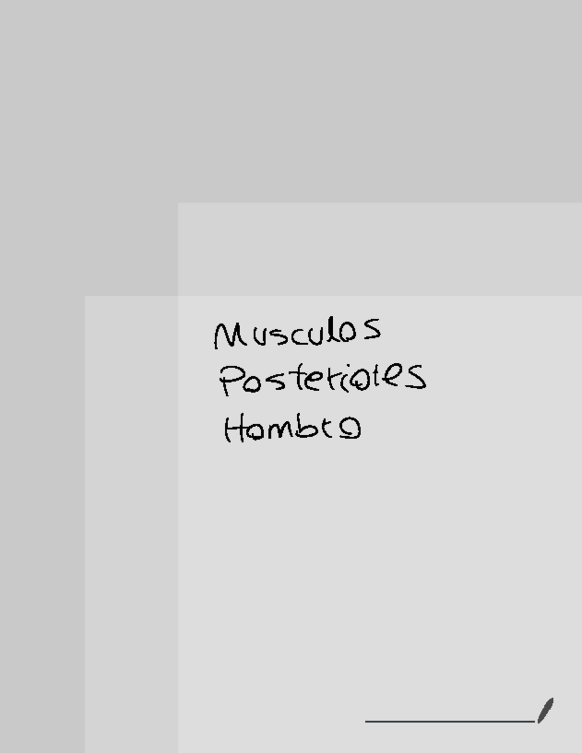 Músculos Posteriores Hombro - musculos posteriores ####### Hombro ...