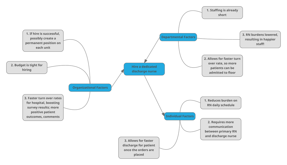 WGU Mind Map D024 - Hire a dedicated discharge nurse Individual Factors ...