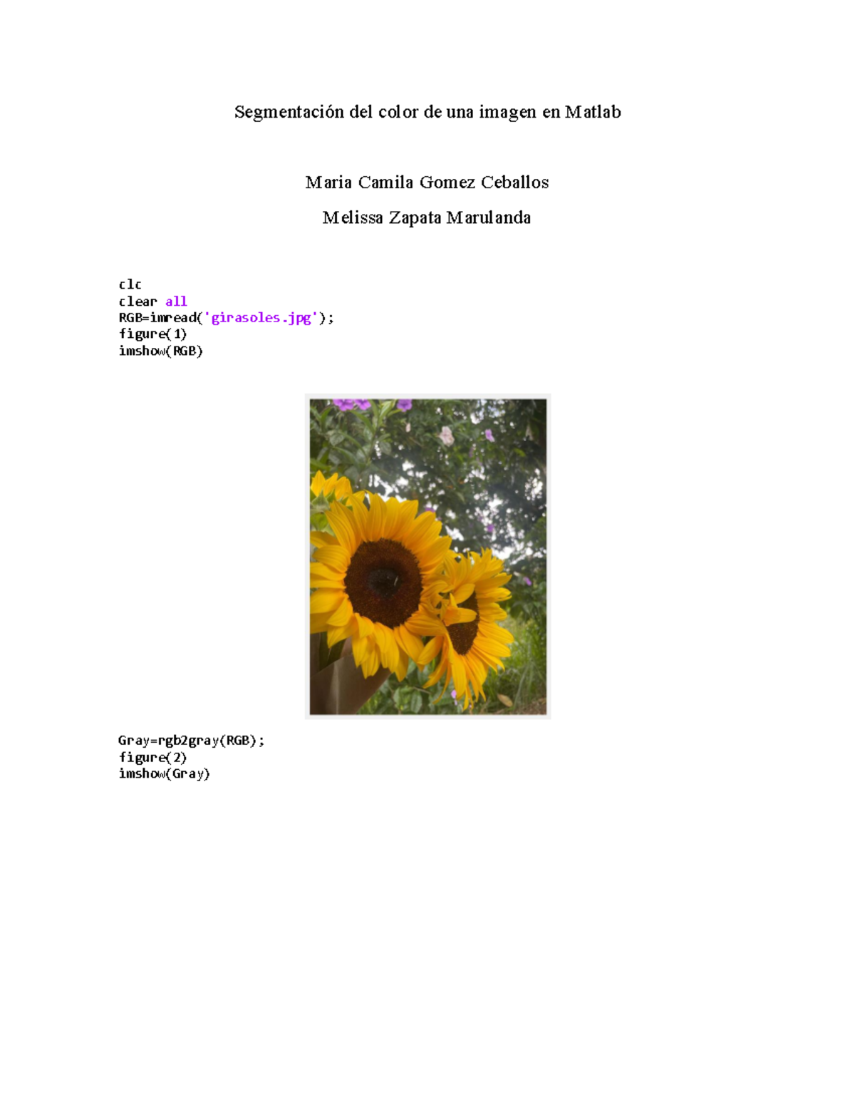Segmentación del color de una imagen en Matlab - Segmentación del color ...