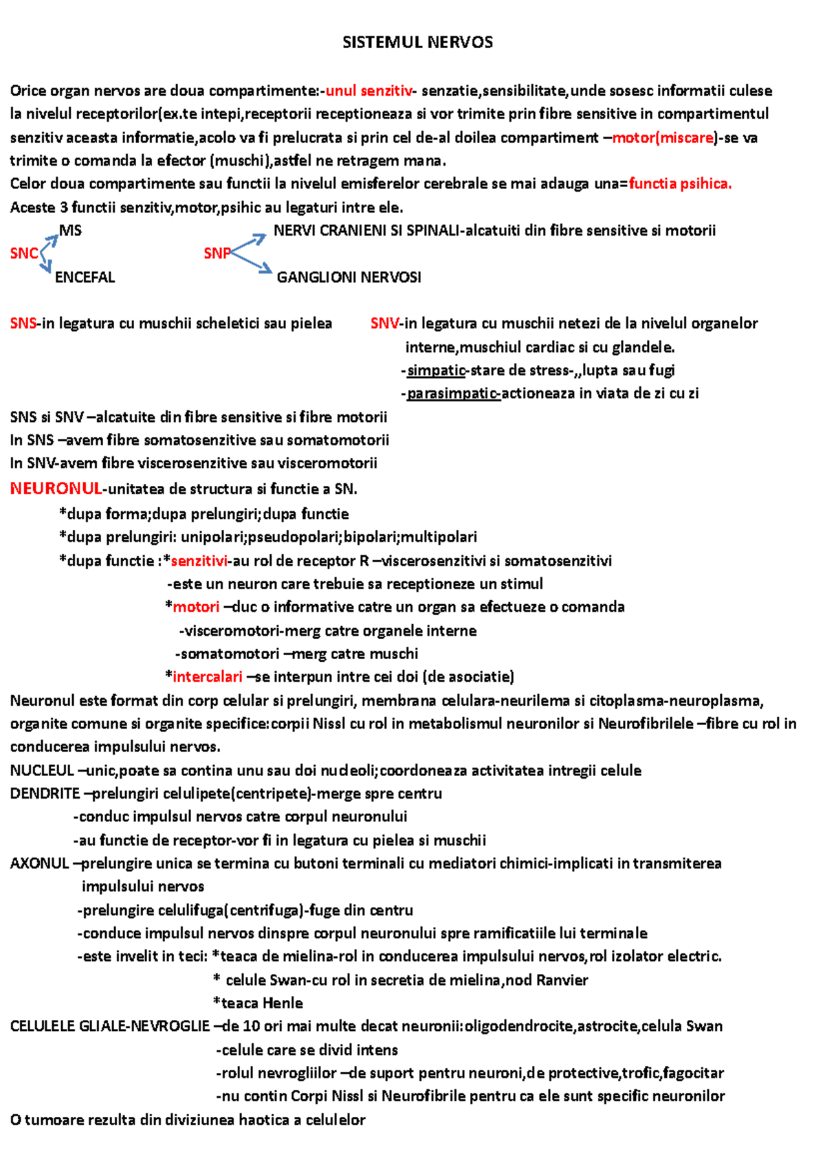 Sistemul Nervos - Materiale utile pentru pregătirea unui bac cu ...