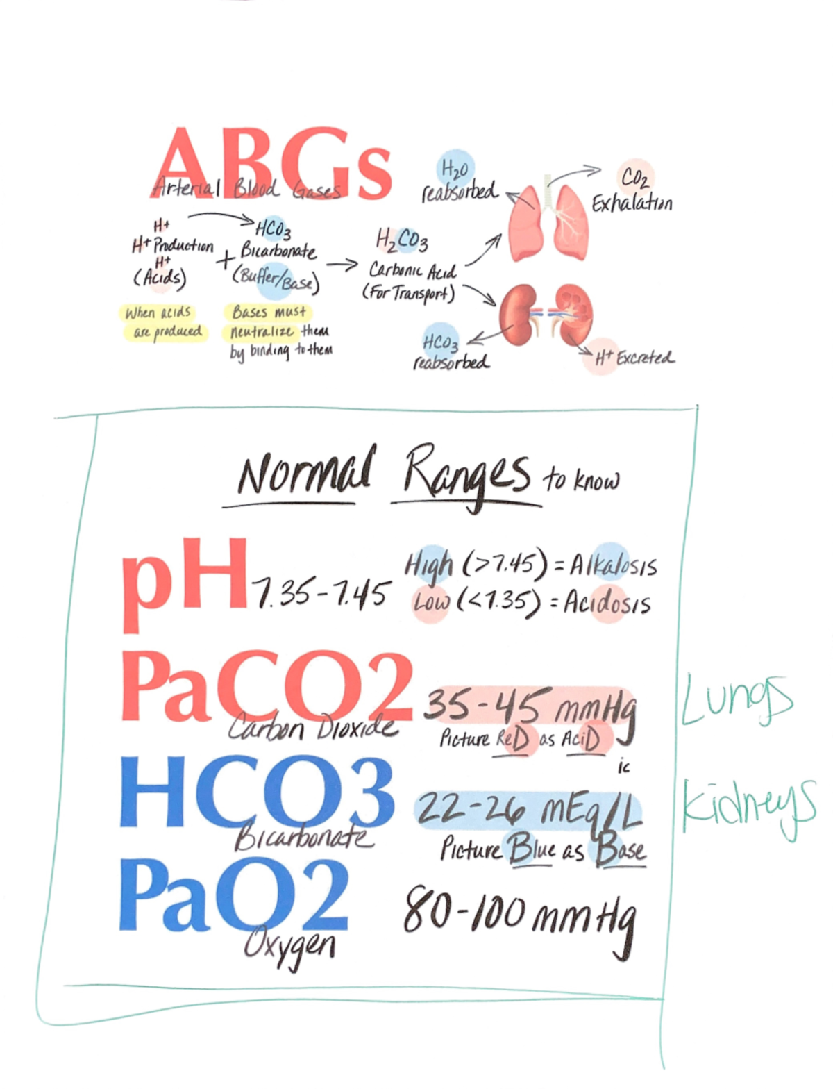 ABG notes - ABGs H2O Arterial Blood Gases reabsorbed CO2 Exhalation ...