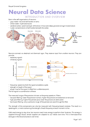 Neural Data Science-3 - Structural imaging methods - III. Structural ...