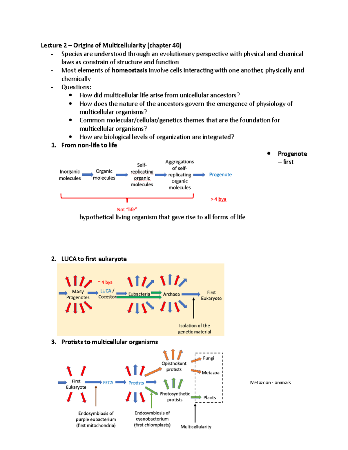 Lecture 2 – Origins of Multicellularity - Lecture 2 – Origins of ...