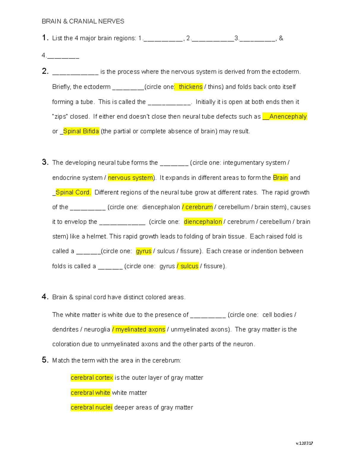 Brain & Cranial Nerves Review questions completed - BRAIN & CRANIAL ...