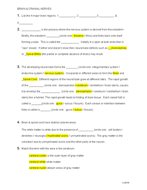 Laboratory 12 - Concept Map - L a b o r a t o r y 1 2 | S k e l e t a l ...