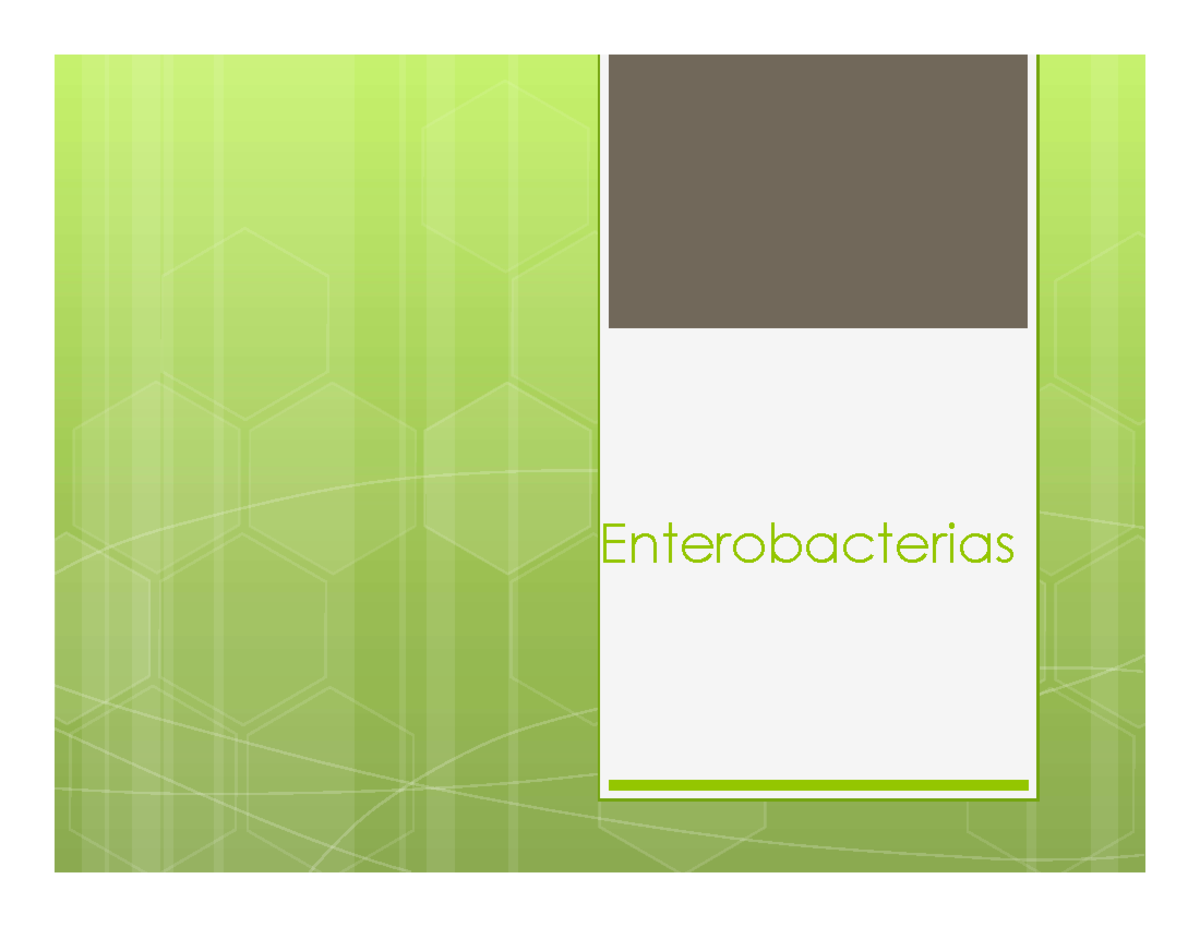 Enterobacterias - MICROBIOLOGIA REPASO - Enterobacterias ...