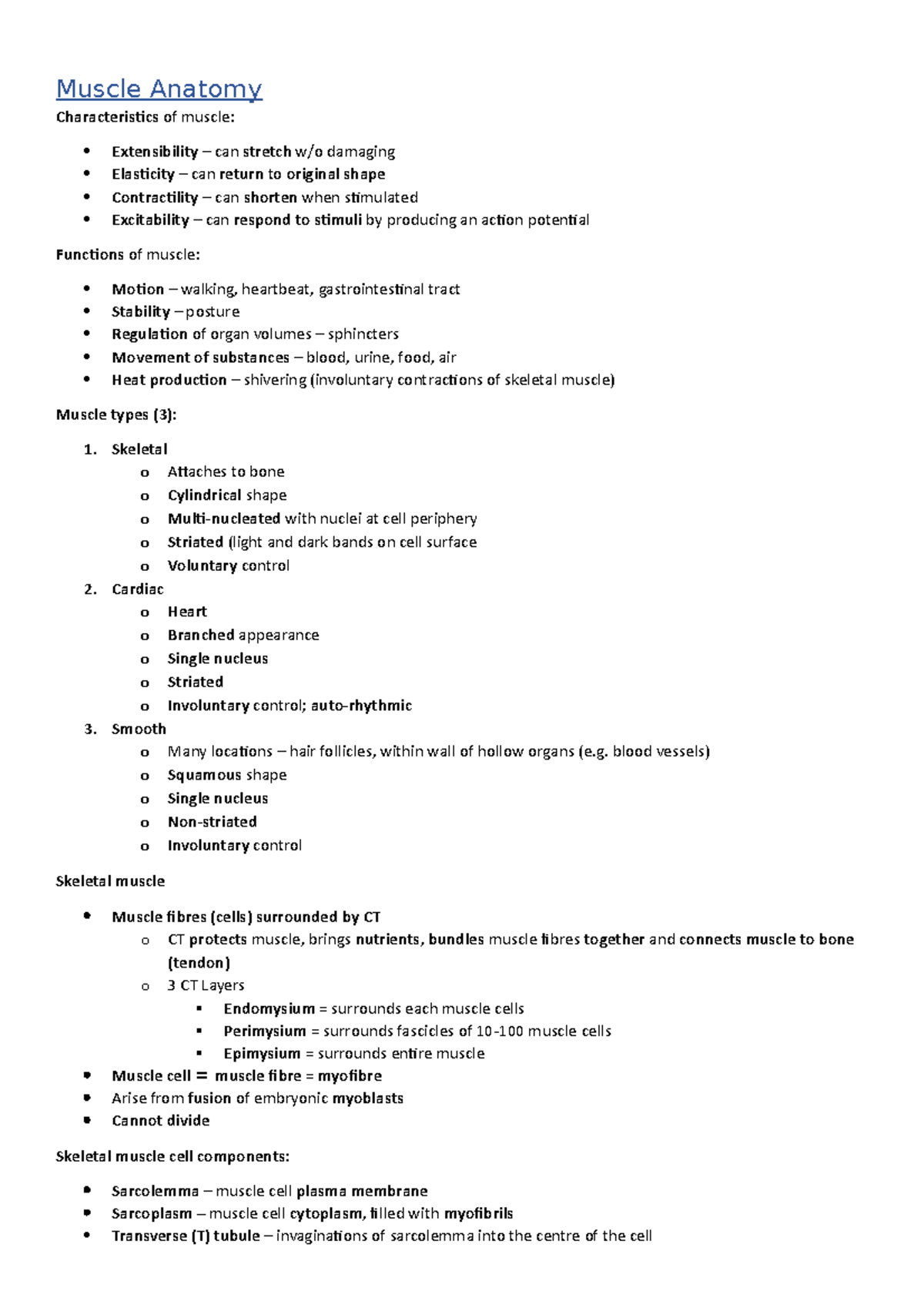 Muscle anatomy HB1A - Notes - Muscle Anatomy Characteristics of muscle ...