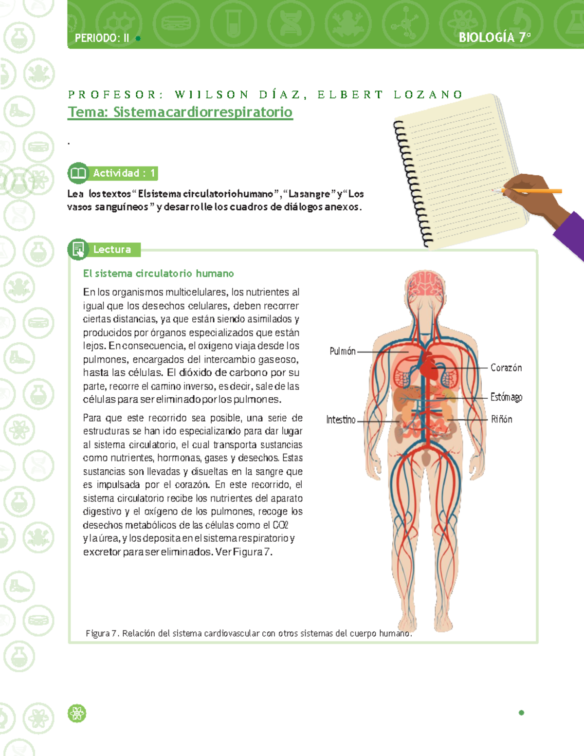 Ciencias Naturales 7 - PERIODO: II BIOLOGÍA 7° P R O F E S O R : W I I ...