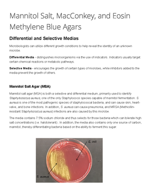 Slant and Broth Growth Patterns BIOZ-303-AOL-SP2023 - Microbiology ...