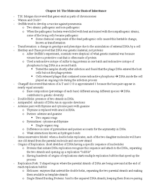 Cell Riddles Answer key - I absorb light energy from the sun and use it ...