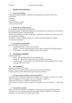 Chapitre 2 - cours bio - Chapitre 2 : L’information génétique 1- Les gènes 2- L’expression des ...