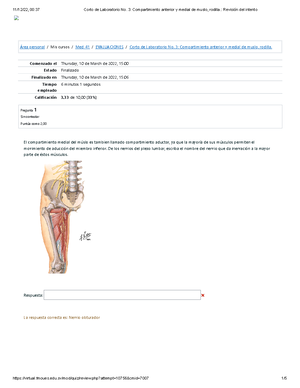 Laboratorio 4 Pierna Y PIE. Anatomía I, Ciclo I 2023 - Objetivos ...