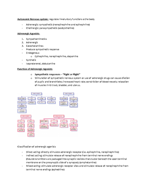 STUD-ANS and CNS - ANS and CNS physiological and background notes - ANS ...