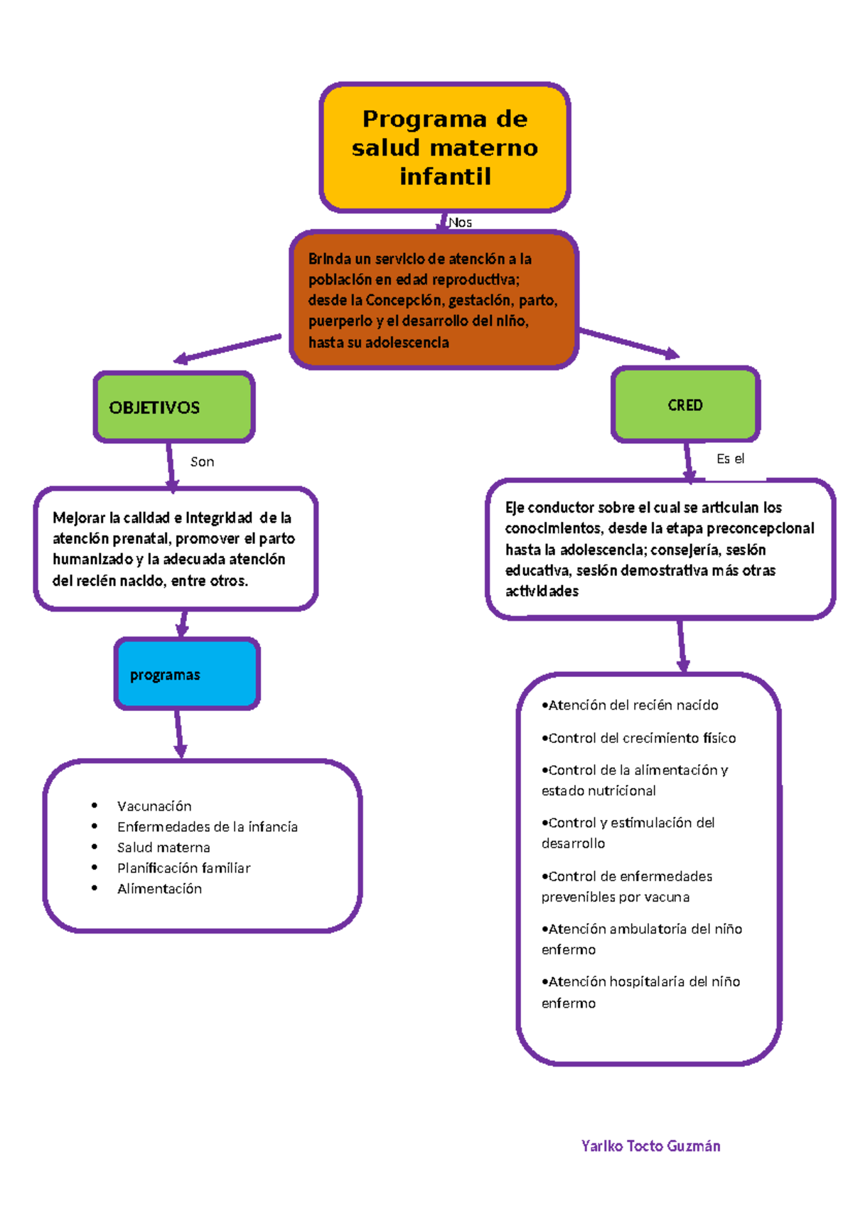 Mapa conceptual - Mapa - Yariko Tocto Guzmán Programa de salud materno ...