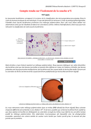 Polycop TP Microbio 2 2022 - STAGE DE TRAVAUX PRATIQUES DE l’UE « MICROBIOLOGIE 2 » Université ...