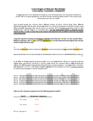 Lecture 4 Quiz - MB 351 - Studocu
