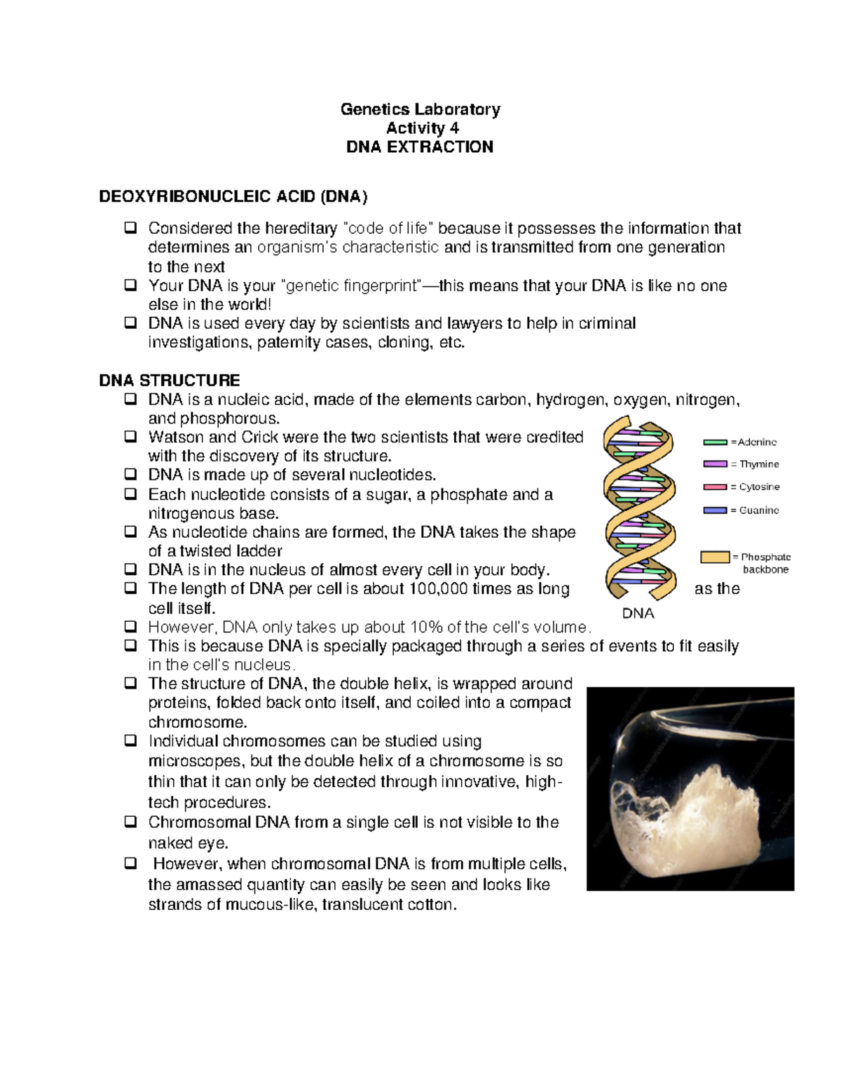 Genetics-Lab-ACT-4 Notes - Genetics Laboratory Activity 4 DNA ...
