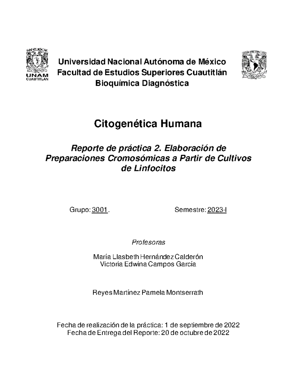 Reporte 2 PMRM CH1003 - Universidad Nacional Autónoma de México ...