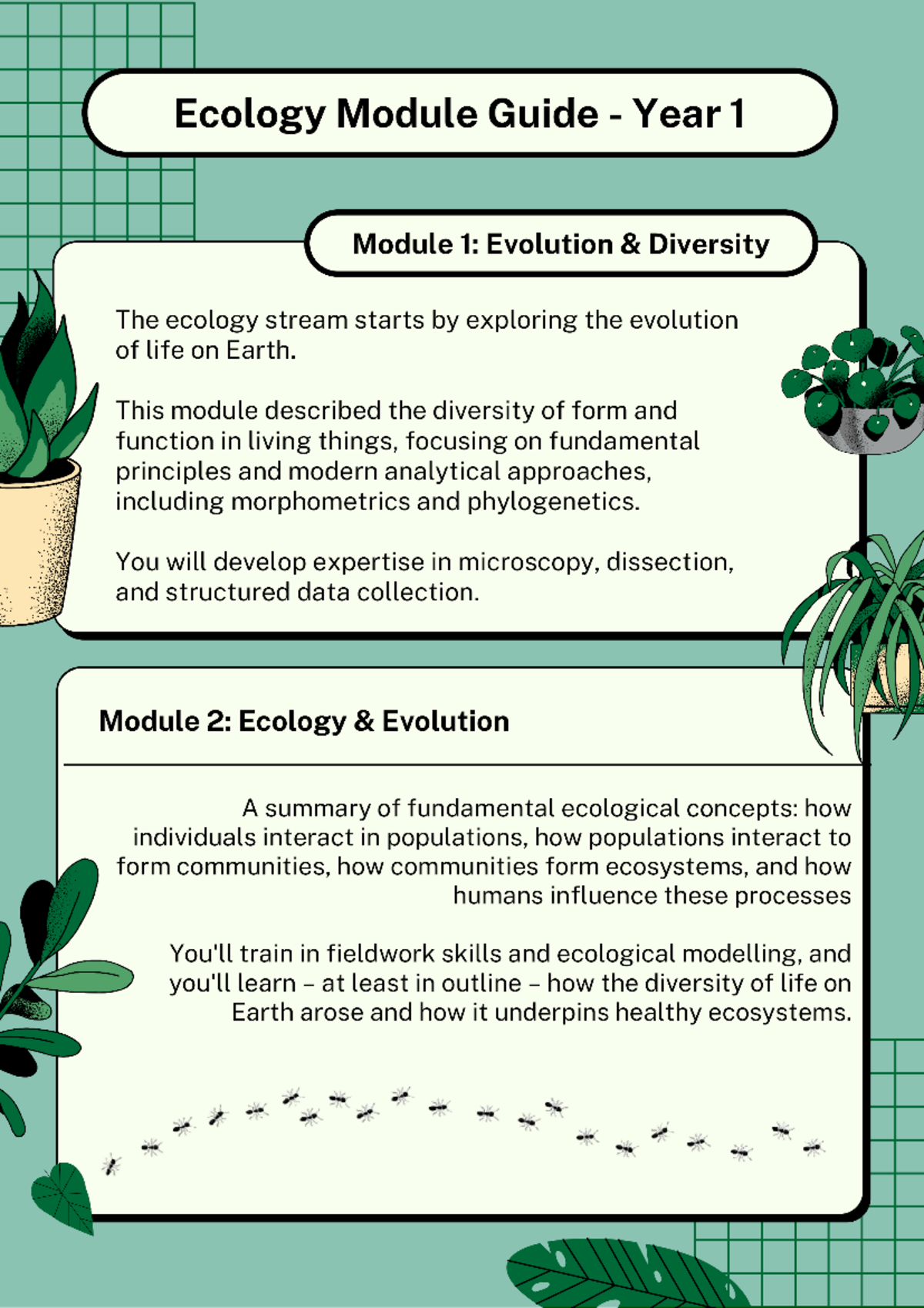 Ecology Stream module guide - Bachelor of Secondary Education - Studocu