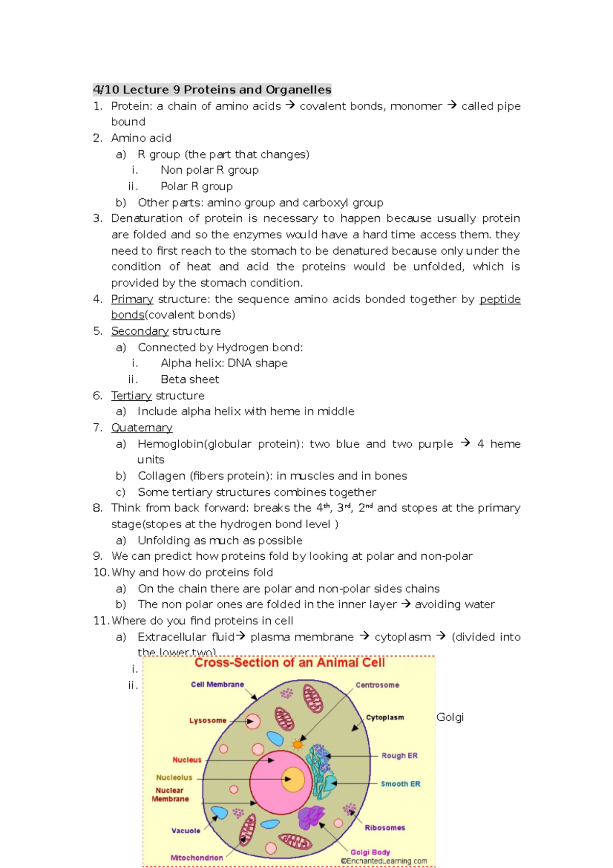 Unit 2 inclass note - unit 2 note - 4/10 Lecture 9 Proteins and ...