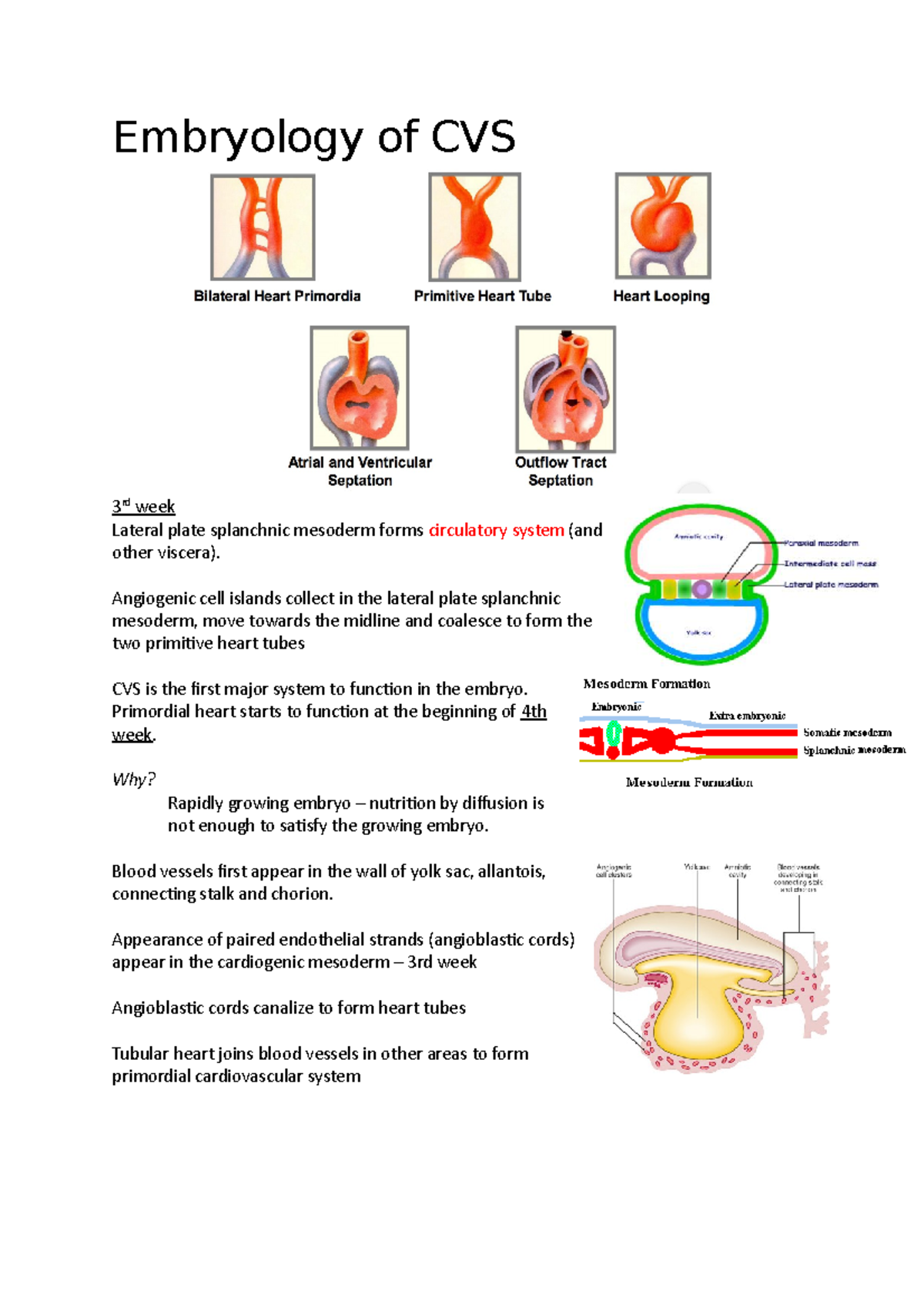 Embryology of CVS - notes - Embryology of CVS 3 rd week Lateral plate ...