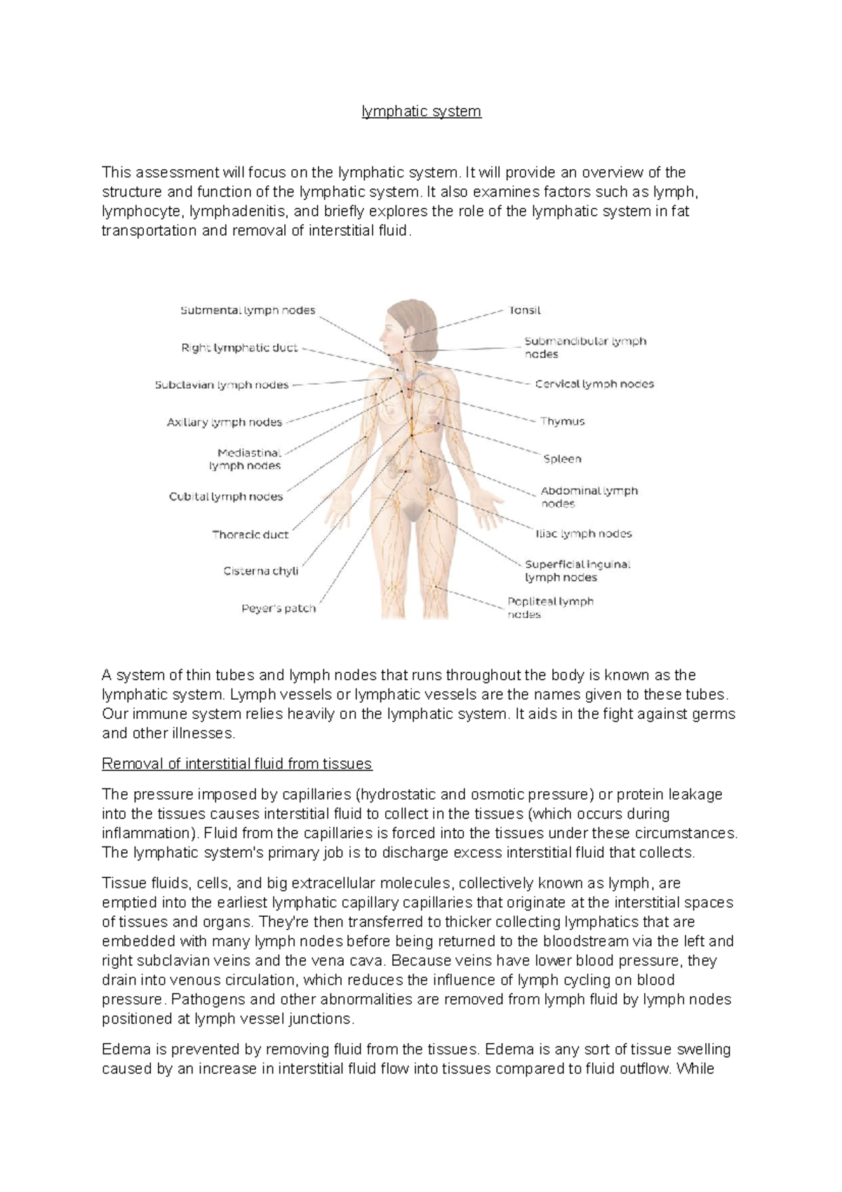 Lymphatic System - lymphatic system This assessment will focus on the ...