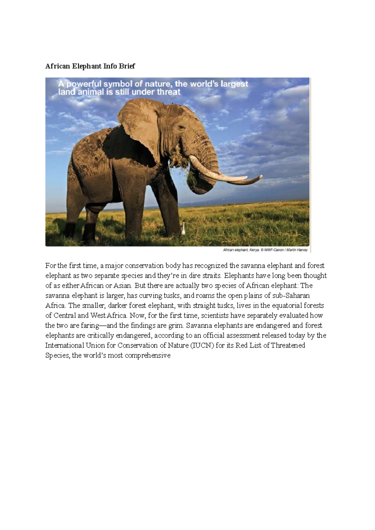 African Elephant Info Brief - Classical Literary Theory - Studocu