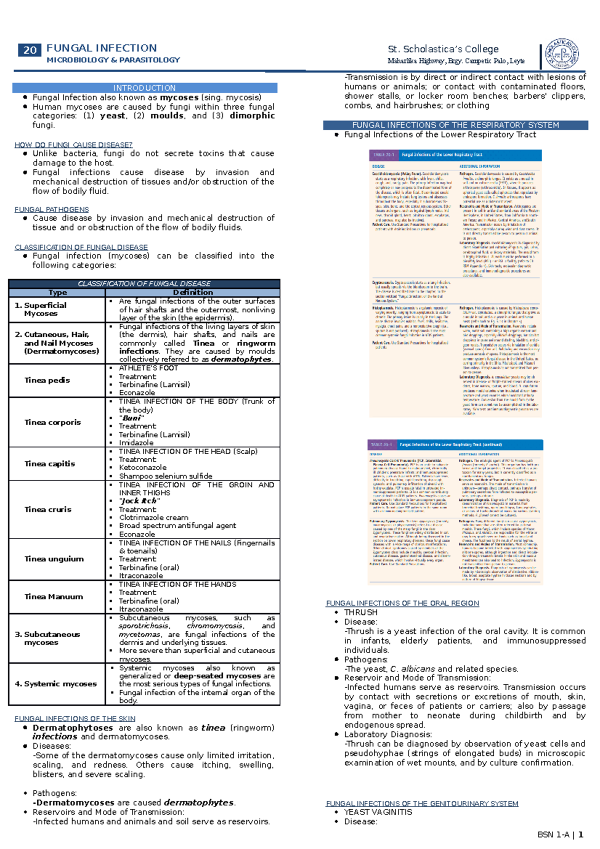 Chapter 20 Fungal Infection - INTRODUCTION Fungal Infection also known ...