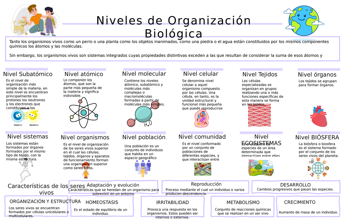 Formato de mapas - fgdfdfsa - Niveles de Organización Biológica Tanto ...
