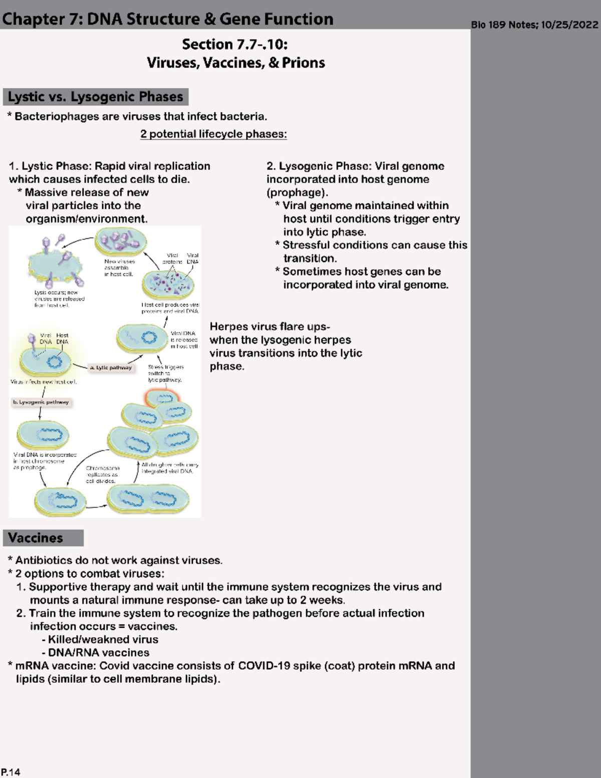 Chapter 7; Section 7-10 pt 2 - BIOL 189 - Studocu