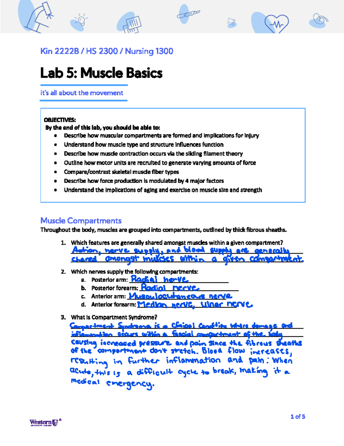 Lab 5 - Answers - HS2300/KIN2222 - Studocu