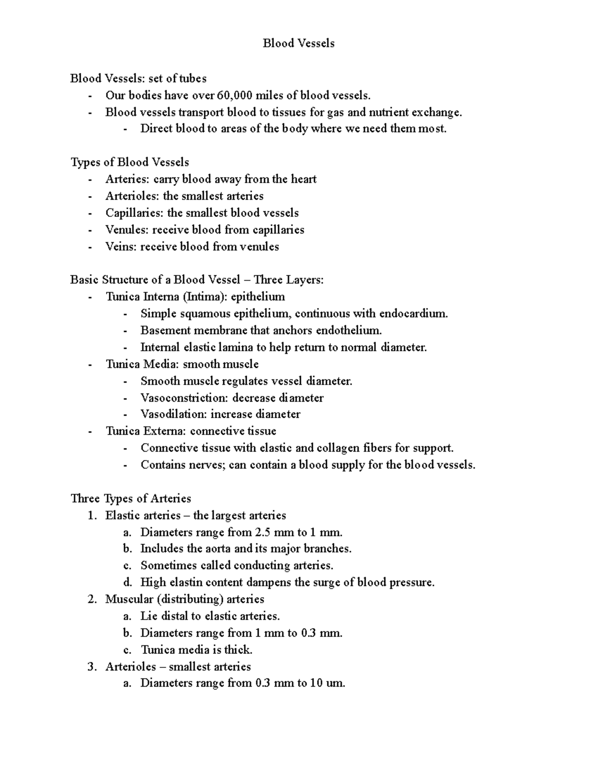 Blood Vessels (Anatomy) - Blood Vessels: set of tubes - Our bodies have ...