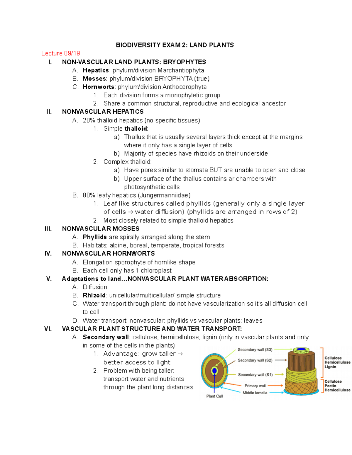 Biodiversity EXAM 2 Content - BIODIVERSITY EXAM 2: LAND PLANTS Lecture 09/ I. NON-VASCULAR LAND ...