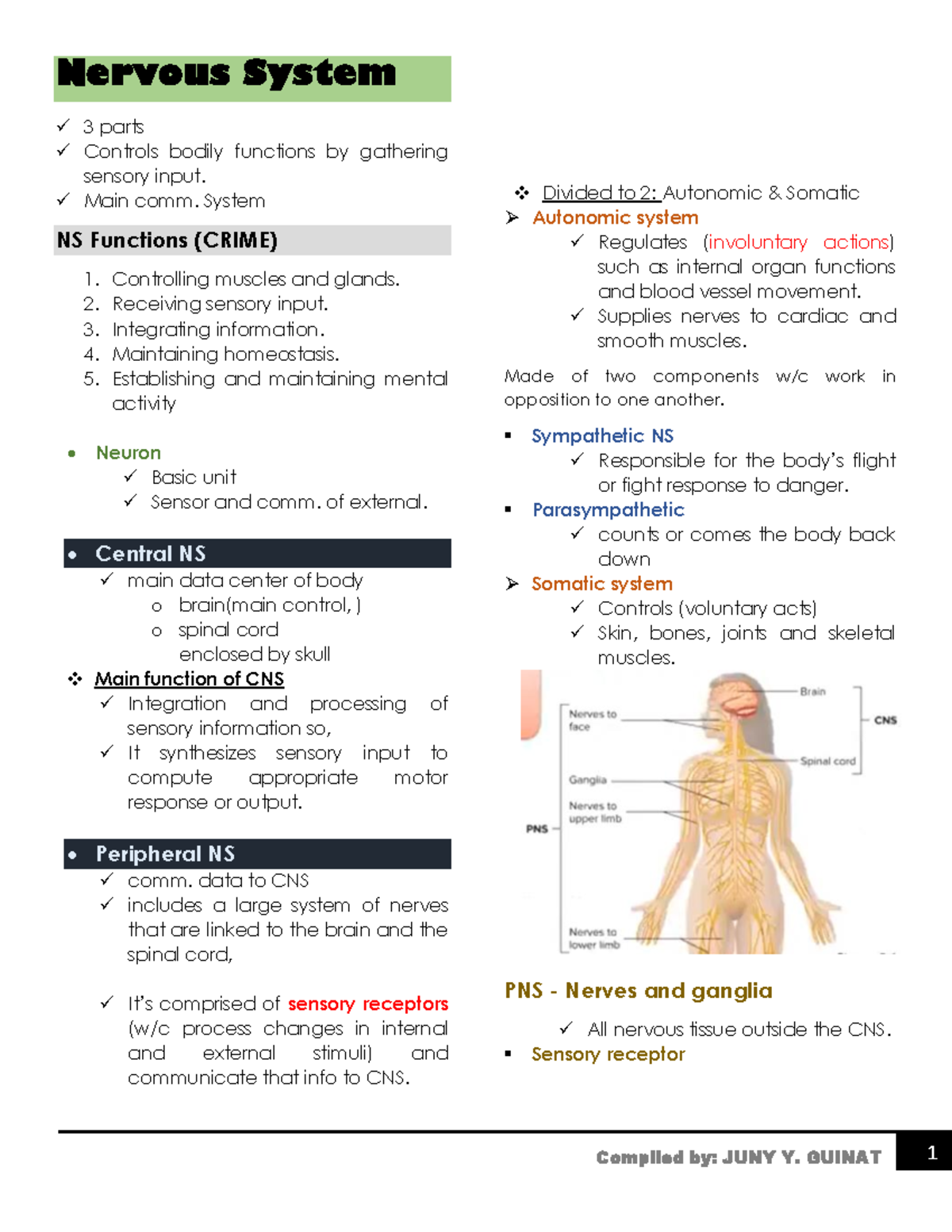 Anatomy Nervous System Reviewer - Compiled by: JUNY Y. GUINAT 1 Nervous ...