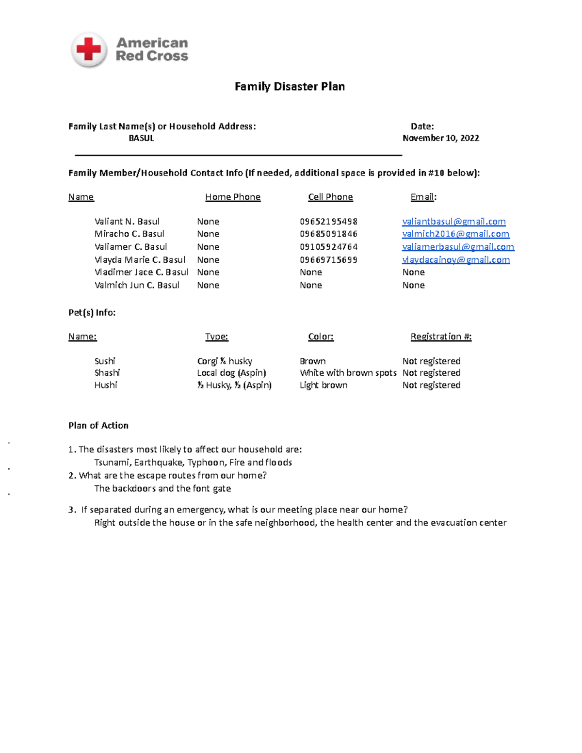 ARC Family Disaster Plan Template r083012 - Family Disaster Plan Family ...