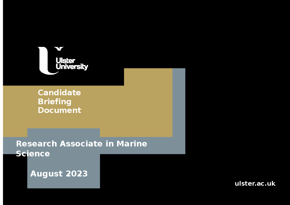 0000215377 - excellent course material - ulster.ac Candidate Briefing ...