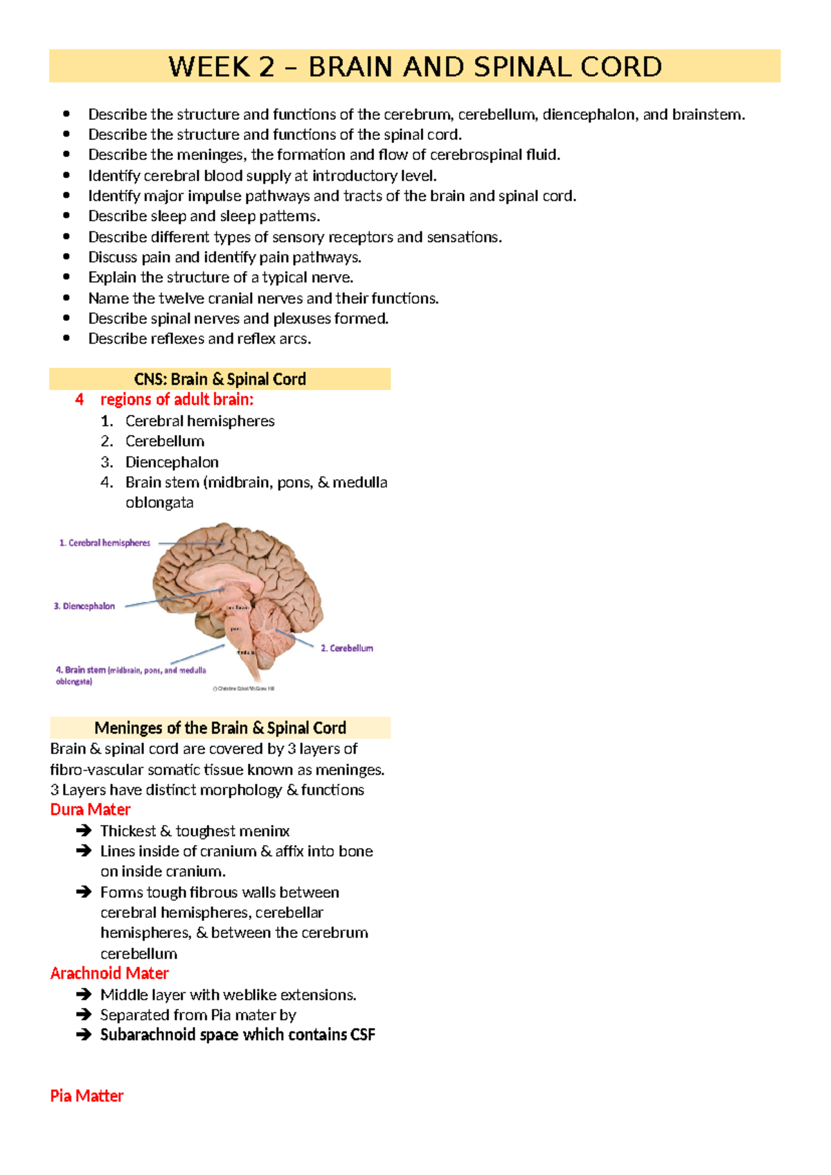 Brain & Spinal Cord - WEEK 2 – BRAIN AND SPINAL CORD Describe the ...