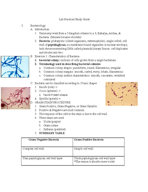 Cows opioid flow sheet - Clinical Opiate Withdrawal Scale (COWS) Flow ...