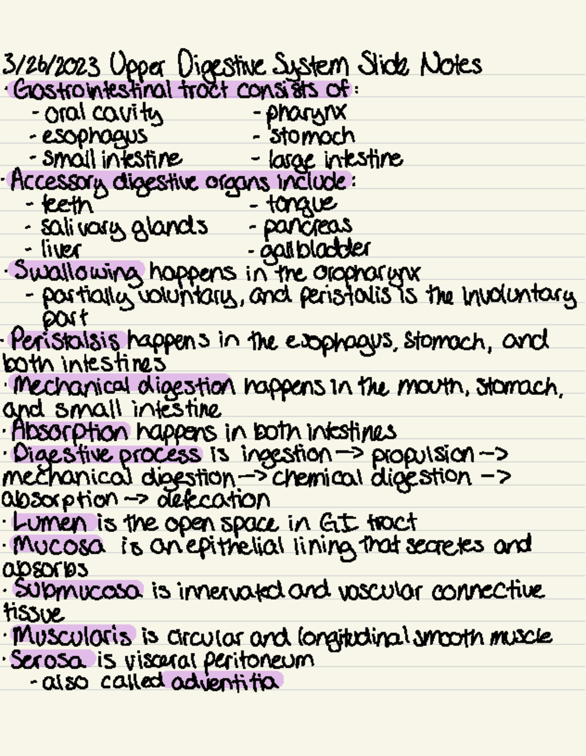 Cell 220 Upper Digestive system Slide Notes - 3/26/2023 Upper Digestive ...