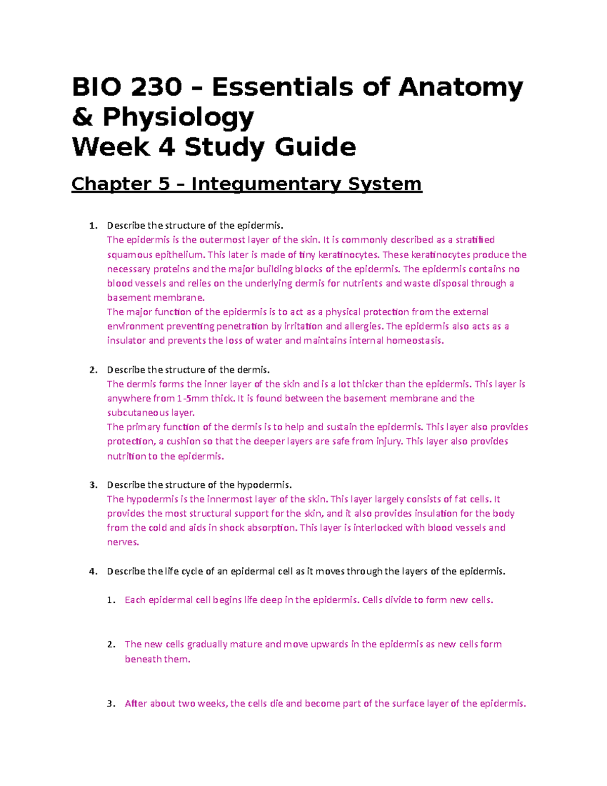 W4 Study Guide - BIO 230 – Essentials of Anatomy & Physiology Week 4 ...